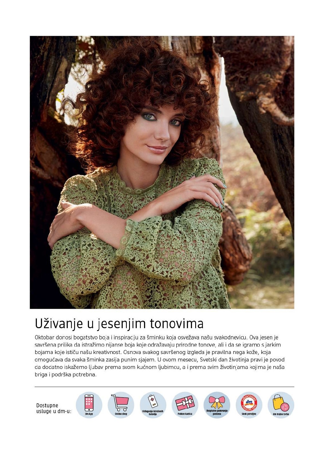 DM katalog - Cenoteka