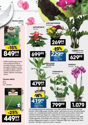 Roda katalog - Cenoteka