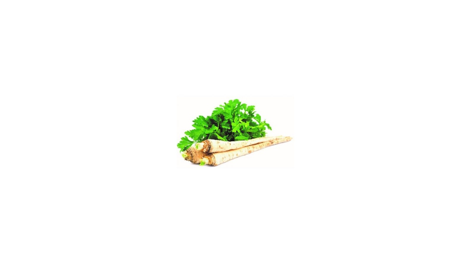Peršun koren 1kg - Cene i Akcije