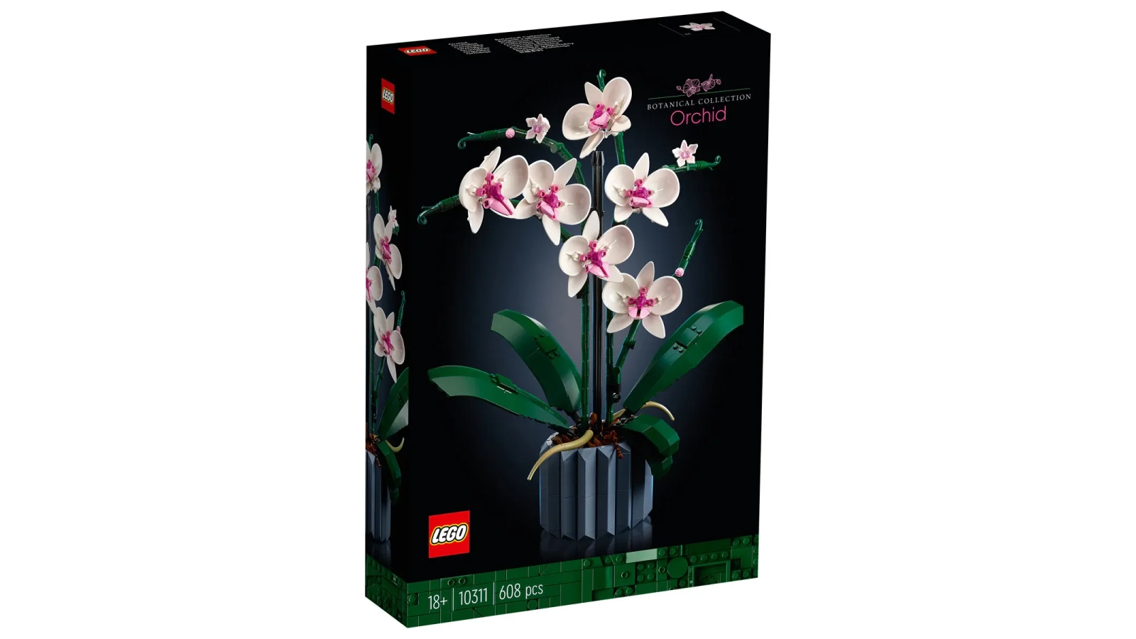 LEGO Icons orhideja 10311 - Cenoteka