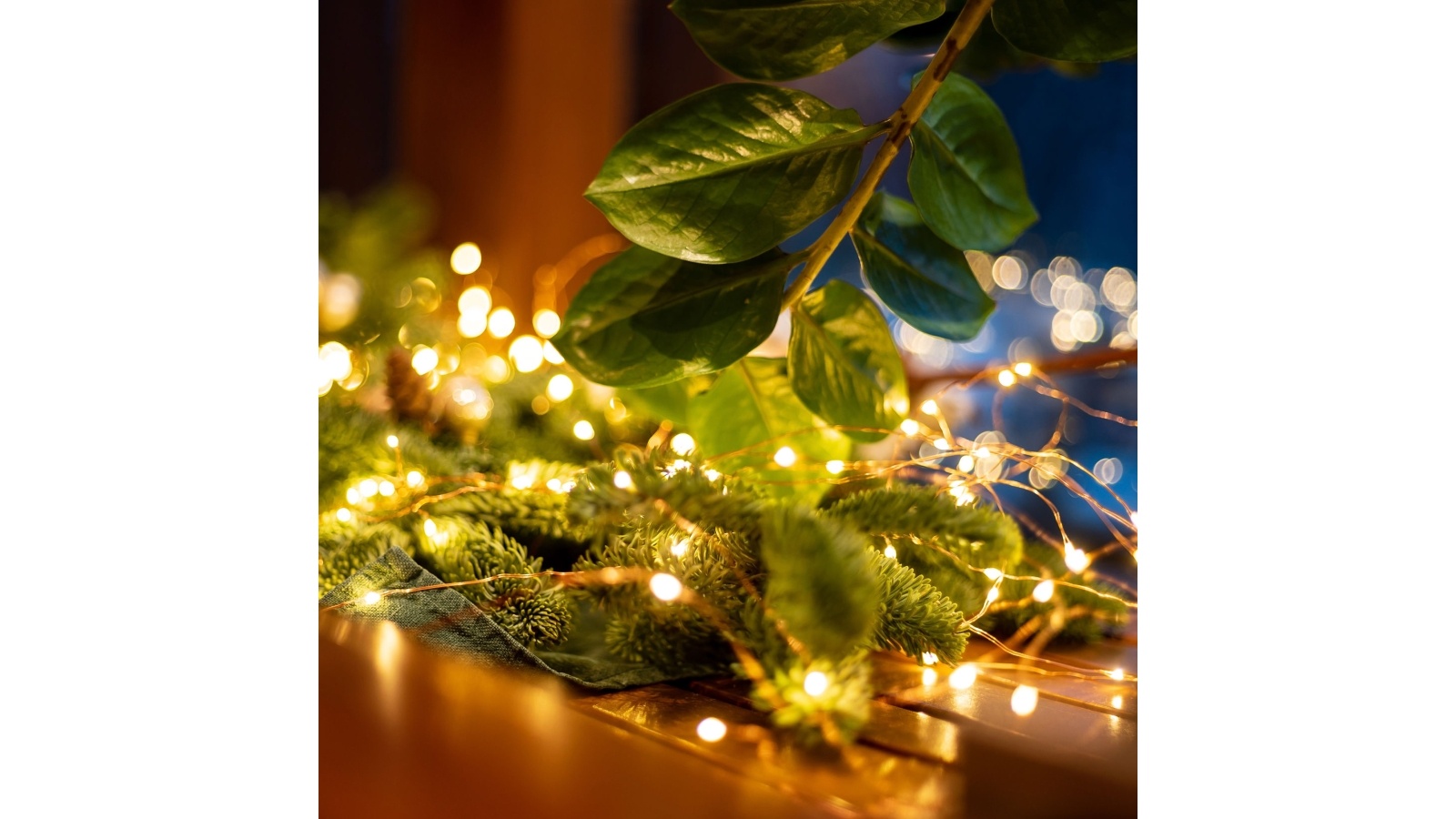 Lampice za jelku sa 50 toplo belih mikro LED dioda Home - Cenoteka