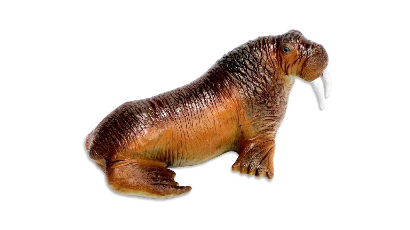 Tuljan PERTINI 25cm - Cenoteka