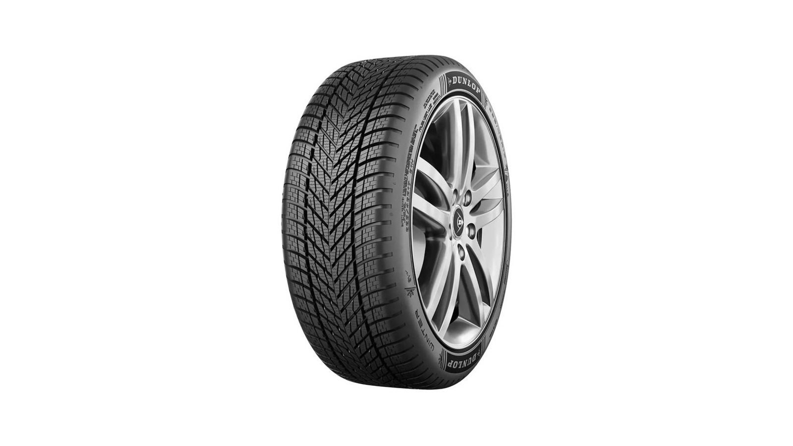 DUNLOP zimska guma Winter 205/65 R17 100H XL - Cene i Akcije