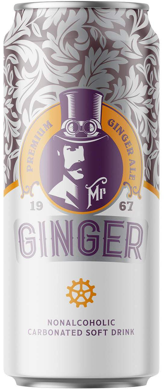 Gazirani sok MR. GINGER 250ml - Cenoteka